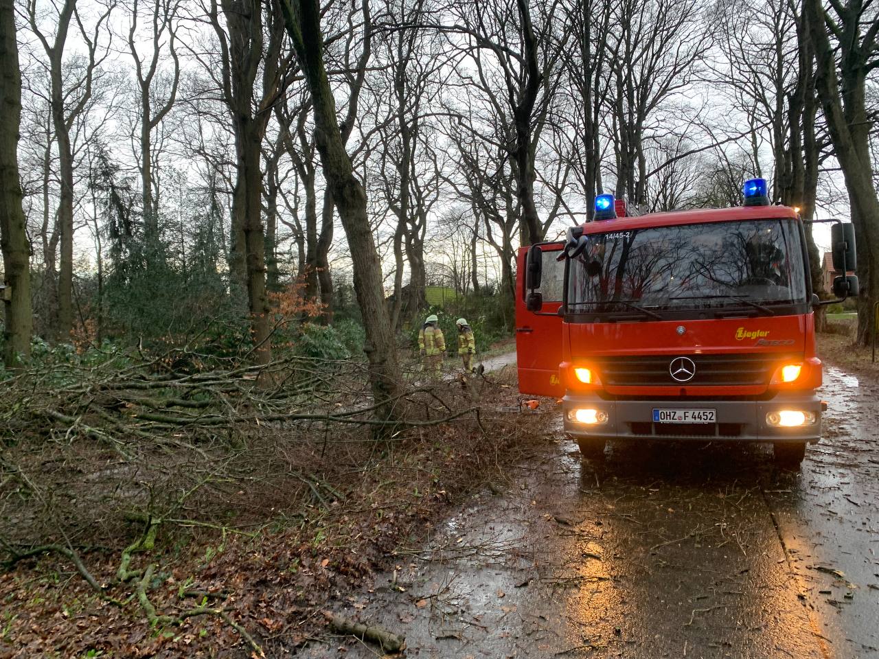 Ast hängt auf Straße - Freiwillige Feuerwehr Osterholz-Scharmbeck