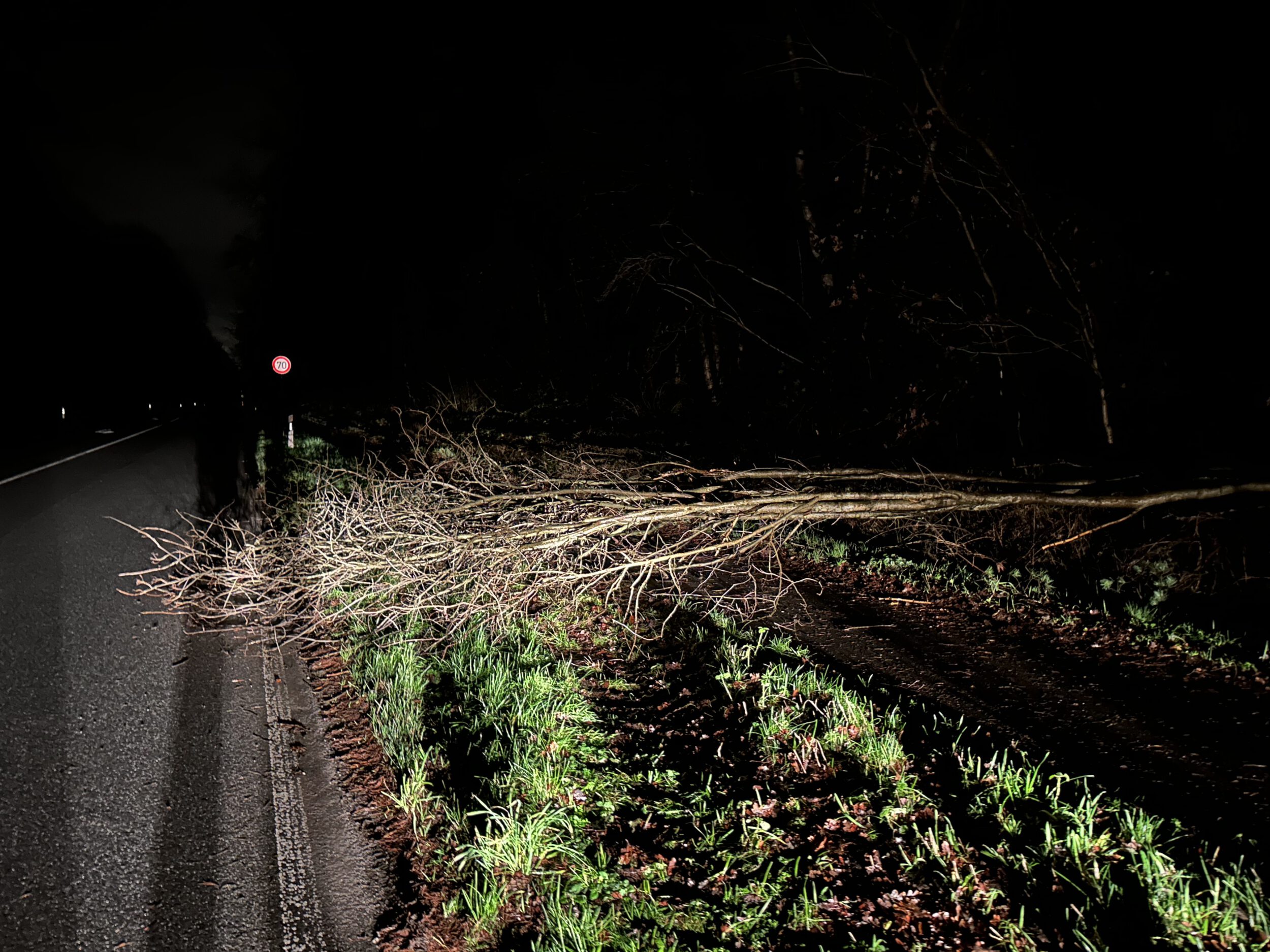 Baum auf Straße - Freiwillige Feuerwehr Osterholz-Scharmbeck